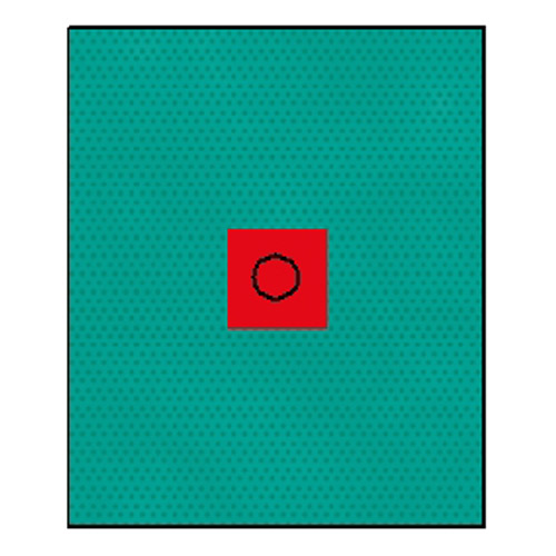 RAUCODRAPE N Lochtuch 75x90cm 2lagig sk. 40 St - Medipolis Intensivshop